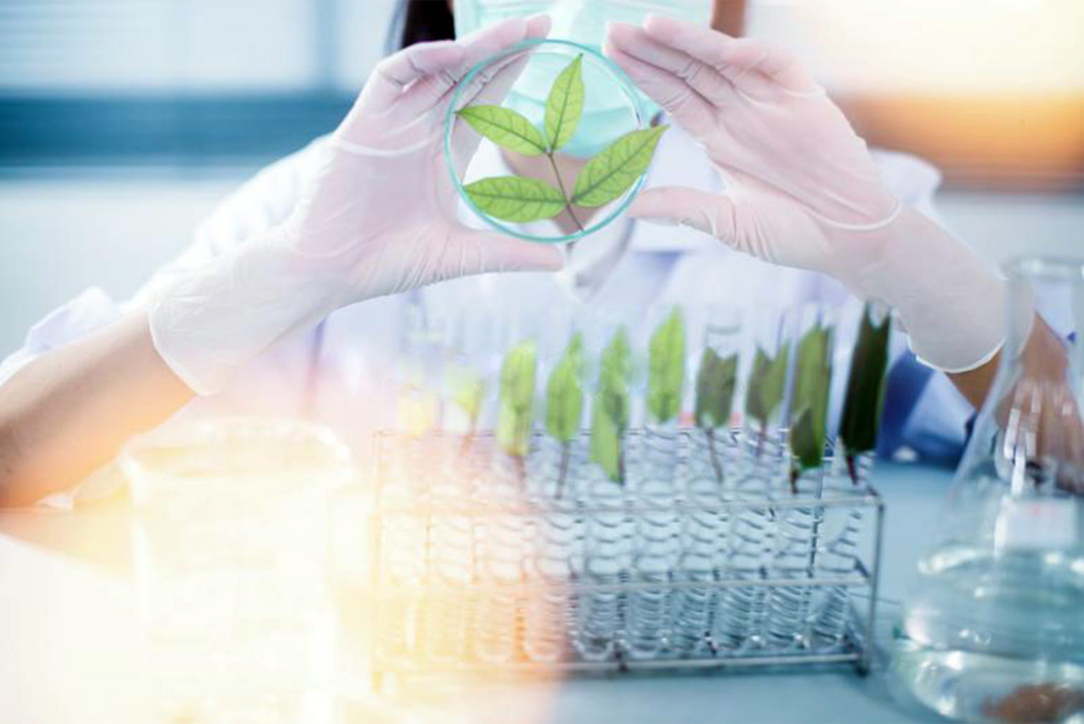 About Us - Pascual Pharma Corp.